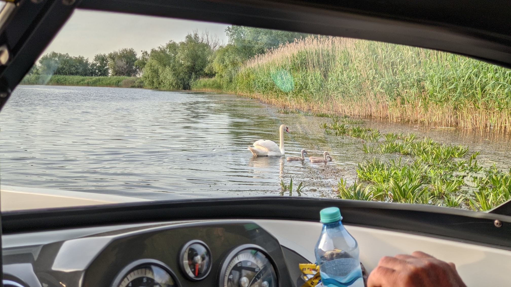Concediu Delta Dunării cu copii - Lebăda Luxury Resort - Lumea Părinților